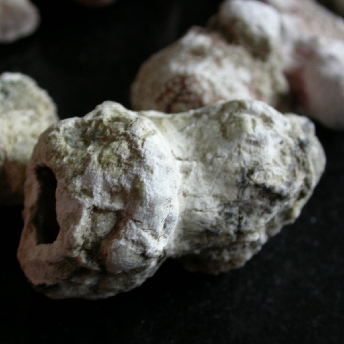 13 Snakes – Song of Stones