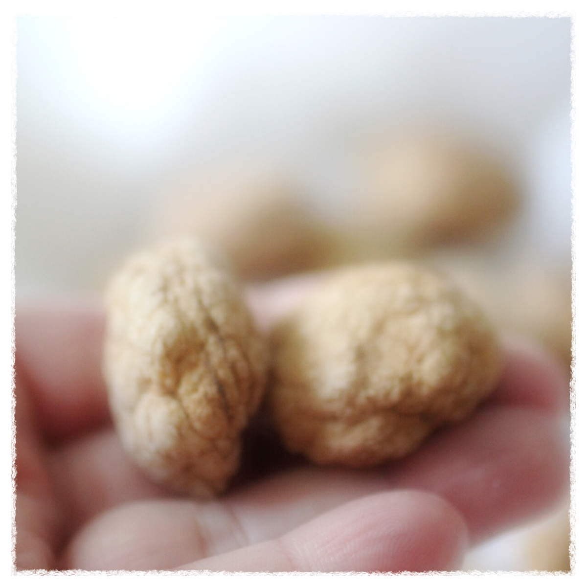 Rattle Stone – Song of Stones