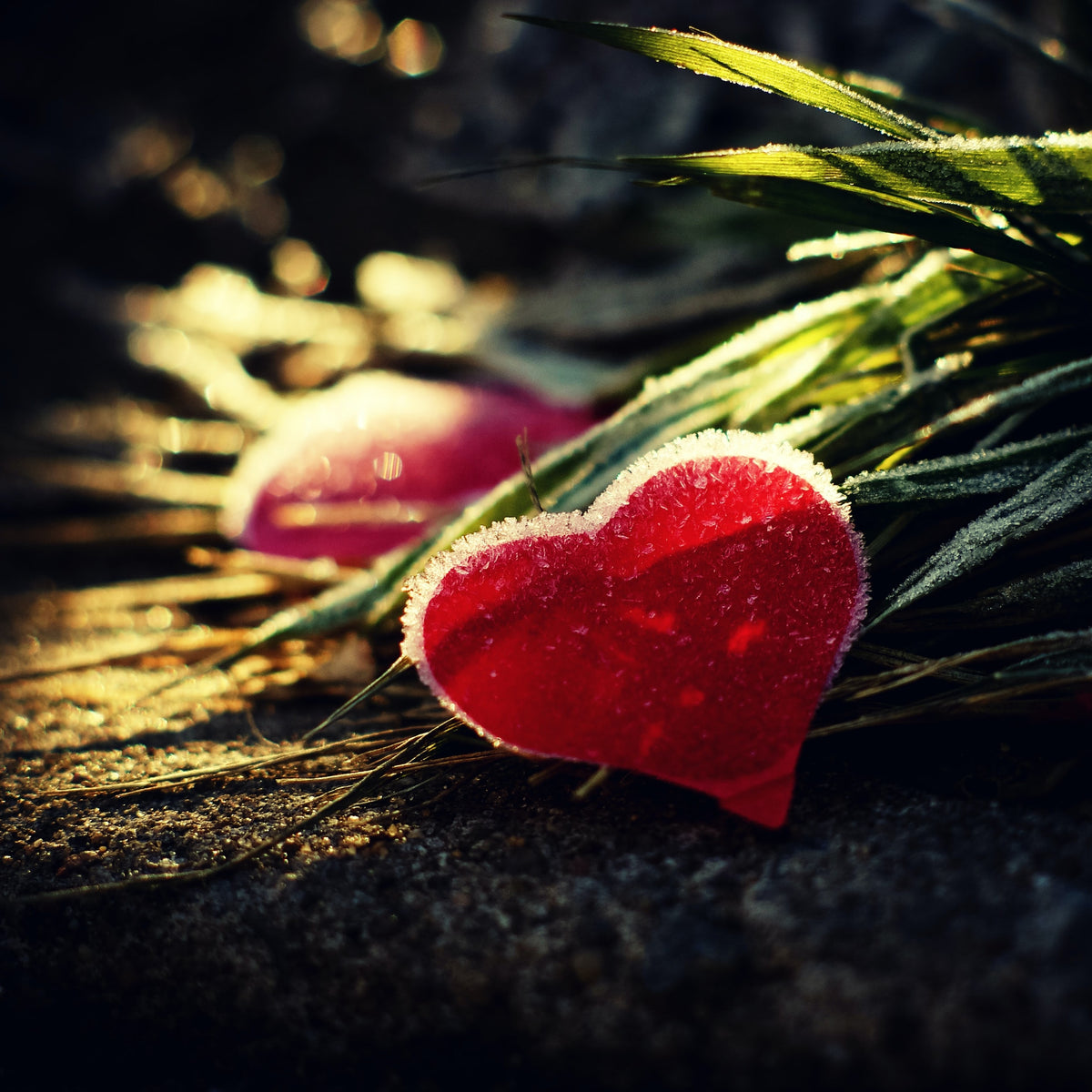 What is love anyway? – Song of Stones