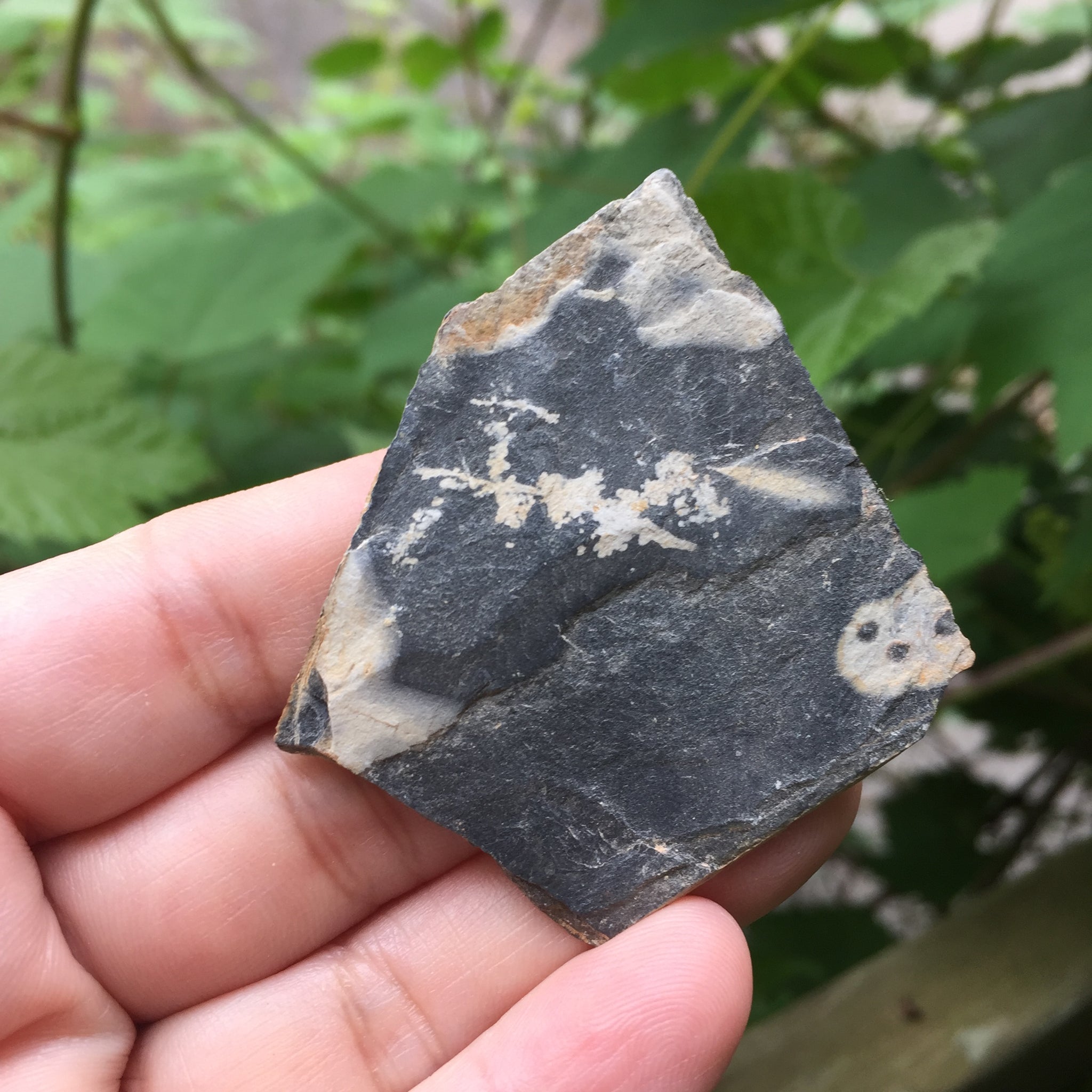 Slaty Shale - I heart u – Song of Stones