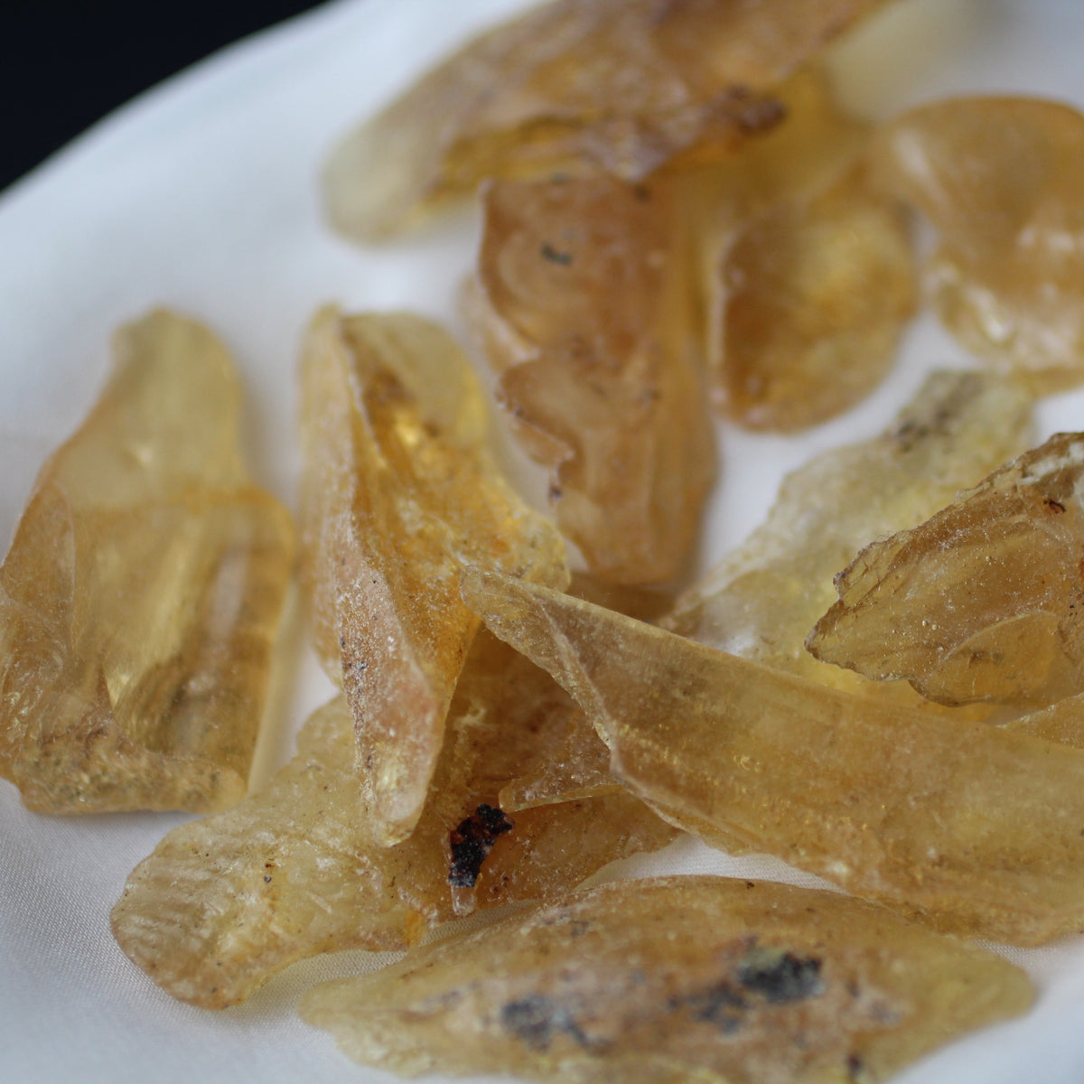 Copal Amber – Song of Stones