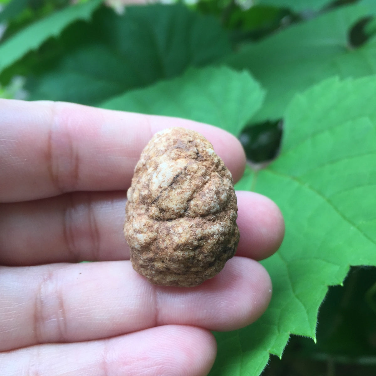 Natural Geode Rattle - natural sound for sacred ceremony – Song of Stones