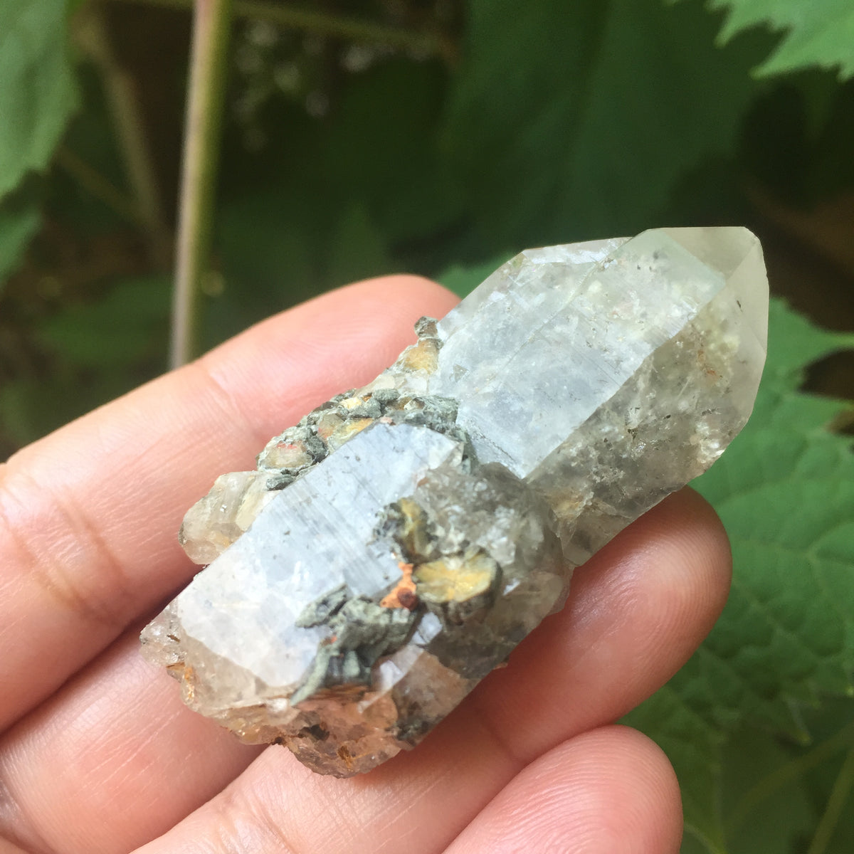 Rare Witches Fingers or Witch's Fingers Quartz Crystals – Song of Stones